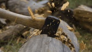 OSRS Forestry: The Way of the Forester Part One Guide – PlayerAuctions Blog