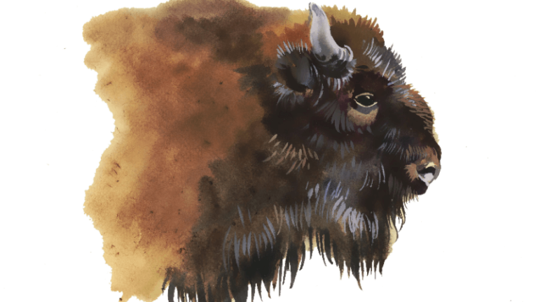 By Dillan | July 3rd, 2024 | Categories: FFXIV