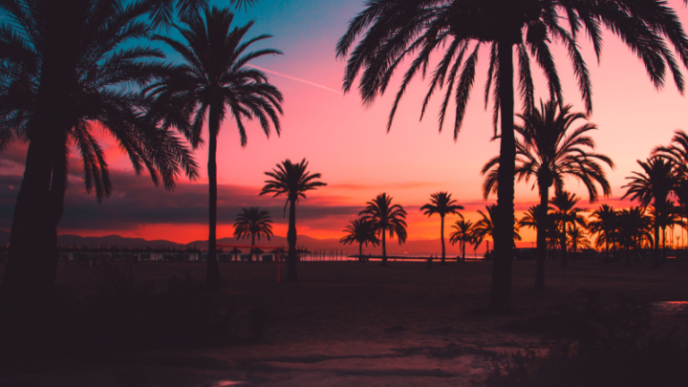 By Karl Reyes | January 1st, 2025 | Categories: GTA VI