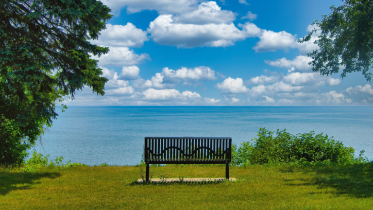 By Dillan | March 10th, 2025 | Categories: Others